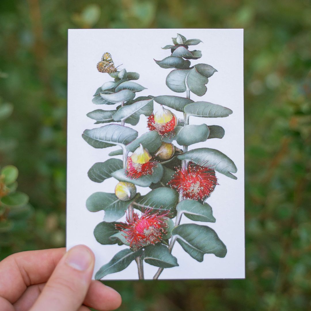 Post a Card Overseas | Our Cheapest shipping rate from Australia - I ...