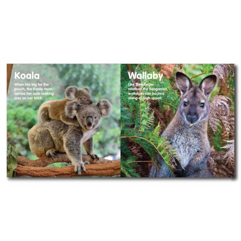 Australian Christmas Books for Kids | Best Australiana Gifts Online - I ...